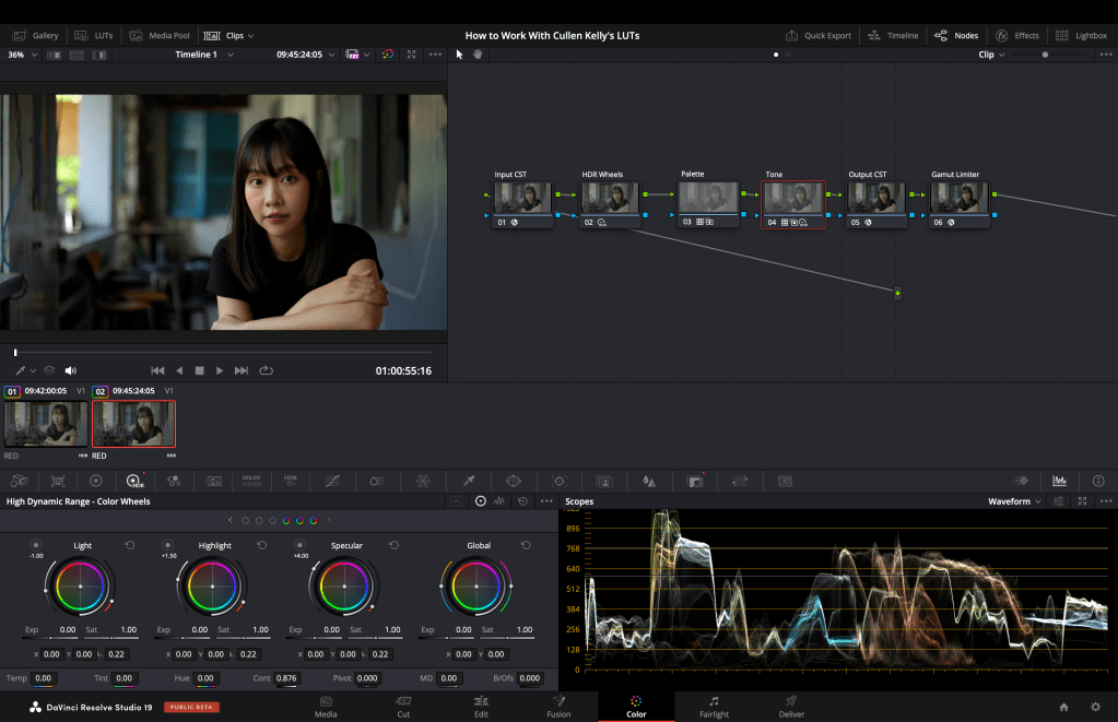 How To Work With Cullen Kelly’s LUTs in DaVinci Resolve Studio 19 – The ...